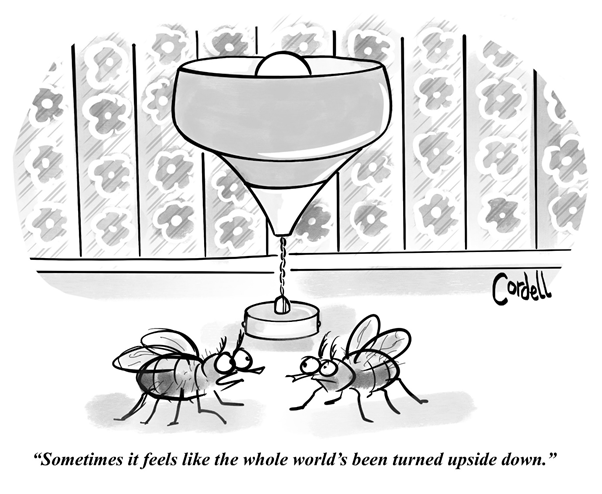 It’s a Topsy Turvy World! – Has Anyone Seen My Glasses?